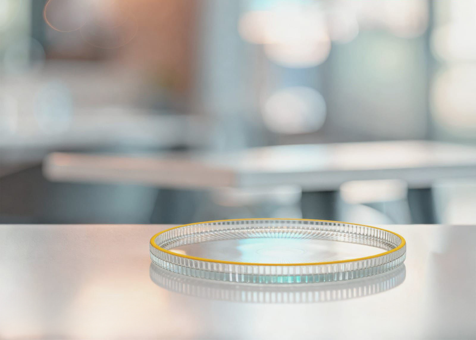 6-PACK GLASS PLATES WITH HIGH EDGE & GOLD RIM – CLEAR FRUIT & APPETIZER ...